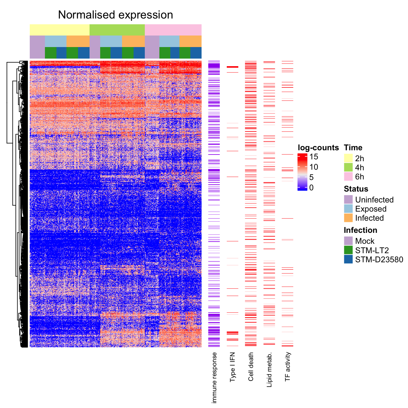 Highly variable genes (HVGs)